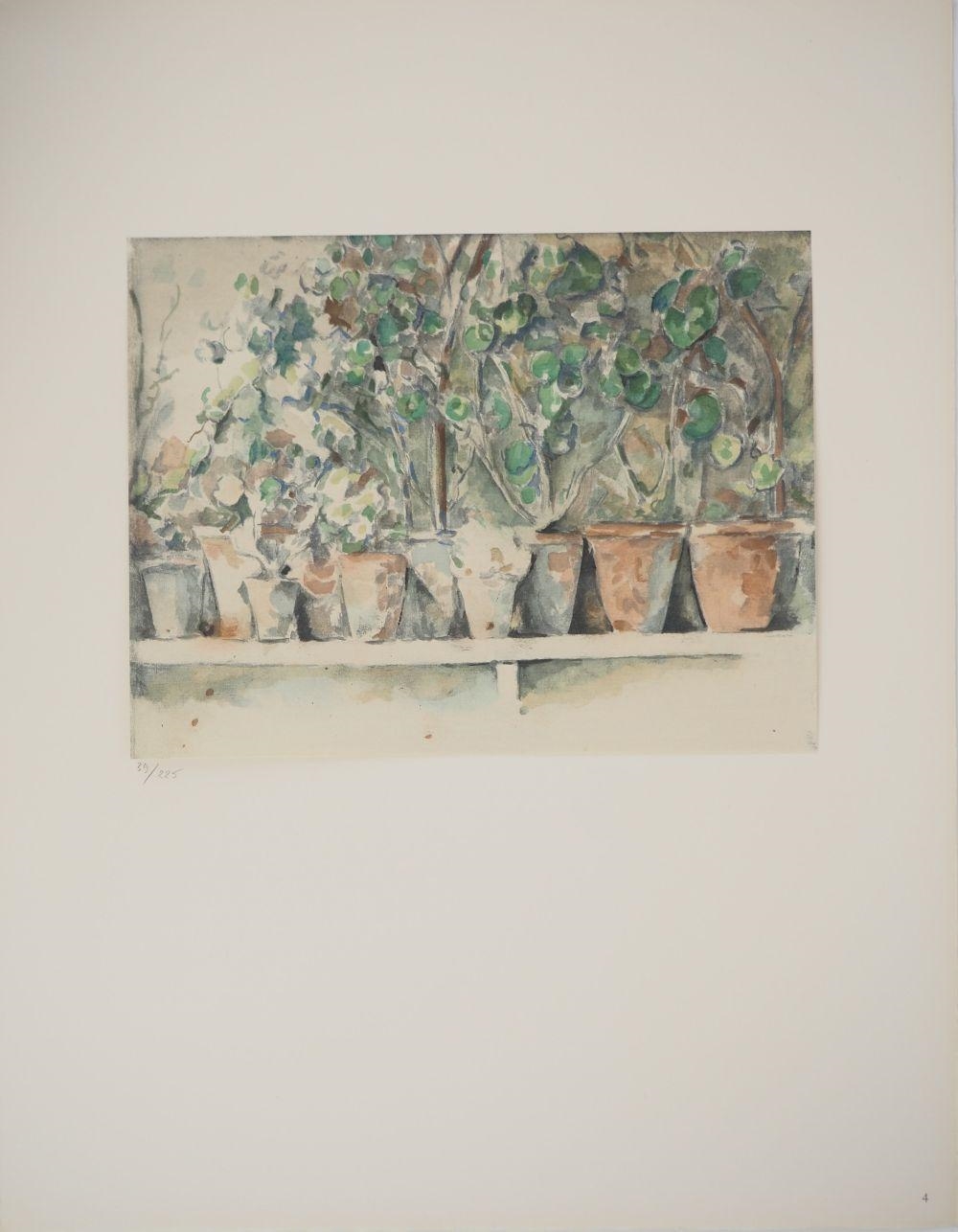 Paul Cézanne | Paul CEZANNE - Geranium pots (1971) | MutualArt