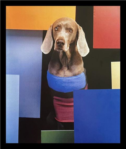 William Wegman | IN THE BAUHAUS (1999) | MutualArt