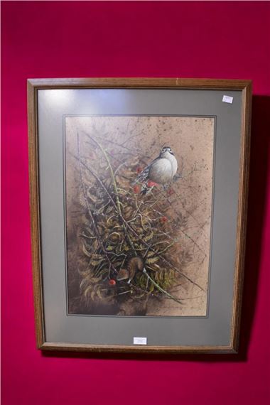 Robert Whittlestone | Biography