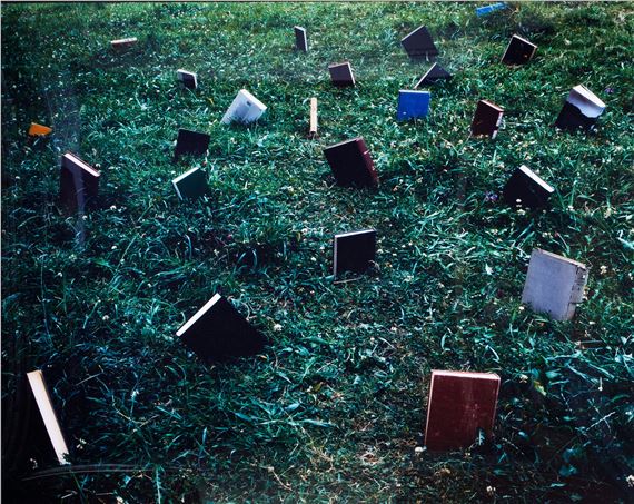 Alicia Martín | ALICIA MARTÍN (2001) | MutualArt