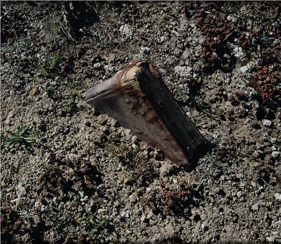 Alicia Martín | ALICIA MARTÍN (2005) | MutualArt