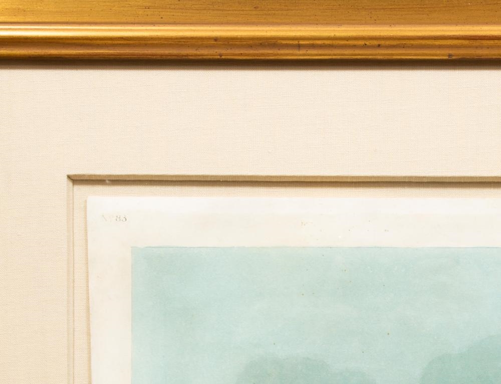 John James Audubon | Common American Swan | MutualArt