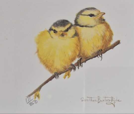 Dorothea Buxton-Hyde | three limited edition prints - birds and foxes ...