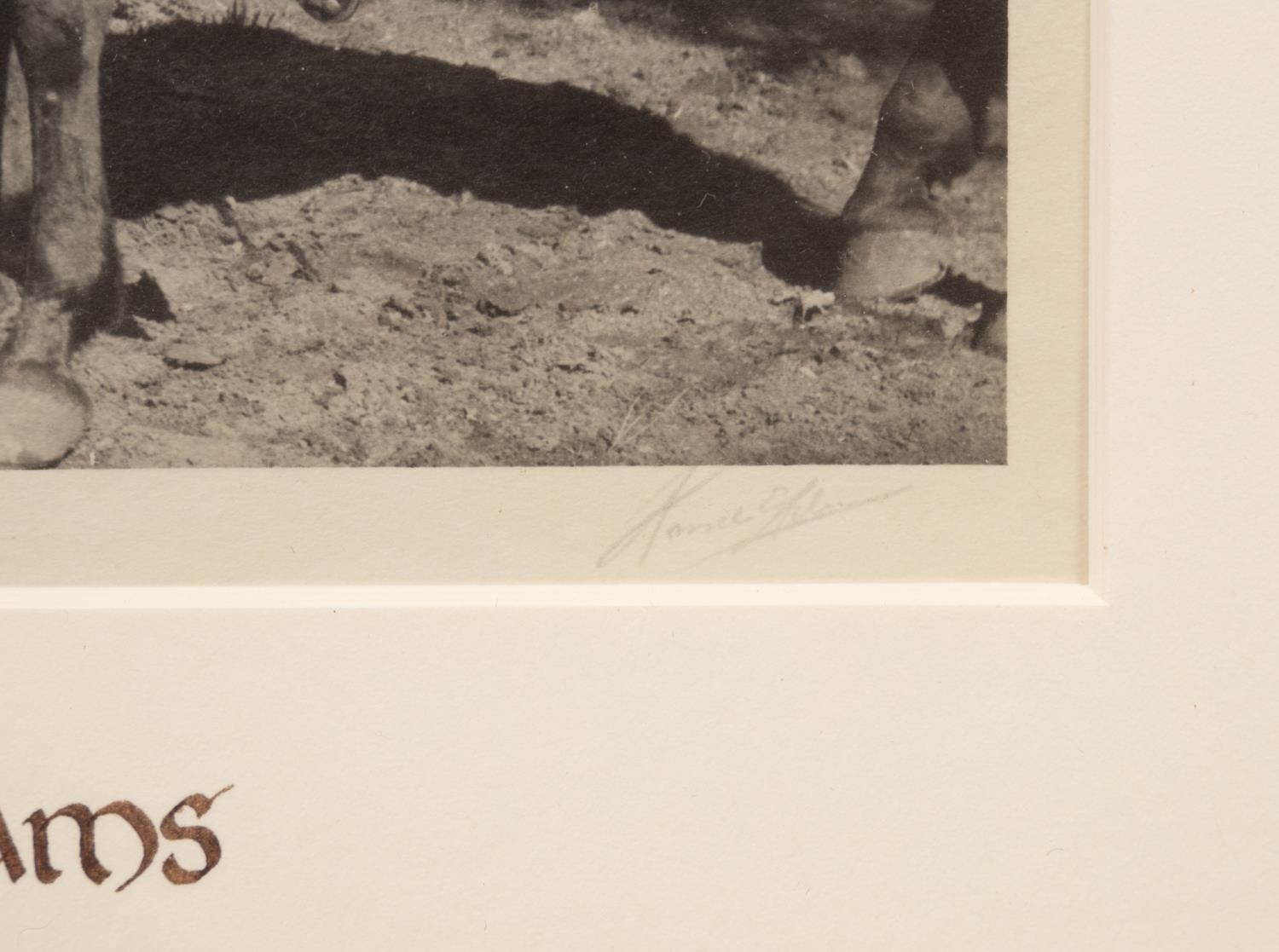 Ansel Adams | ANSEL ADAMS WESTERN RIDER & HORSE ETCHING C. 1935 (Circa ...