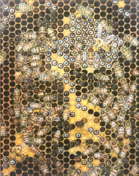 Doug Auld | Portrait of Marlon Brando | MutualArt