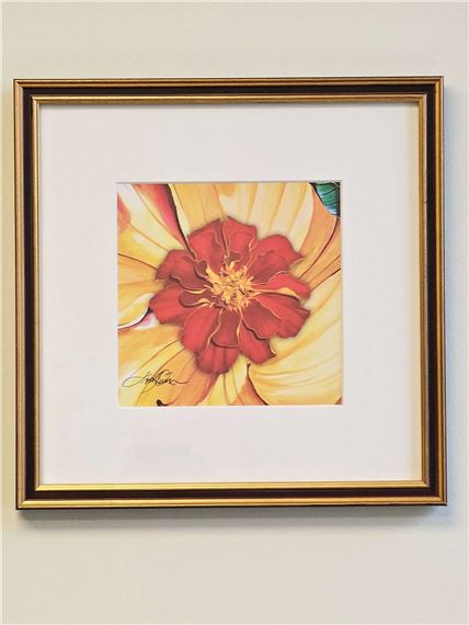 Lisa Quinn | Biography