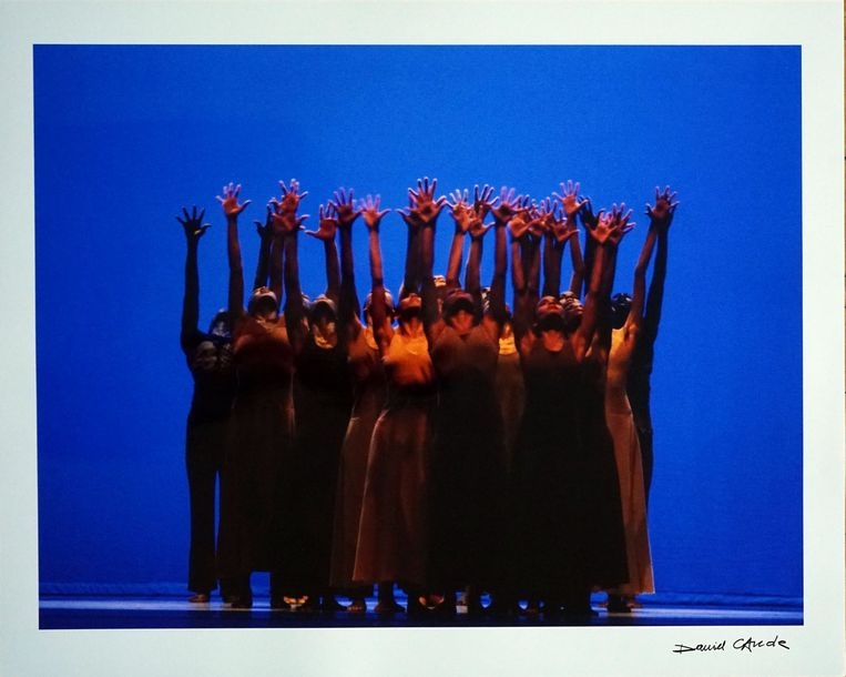 Anker Spang-Larsen | Alvin Ailey NYC Ballet Silver print | MutualArt