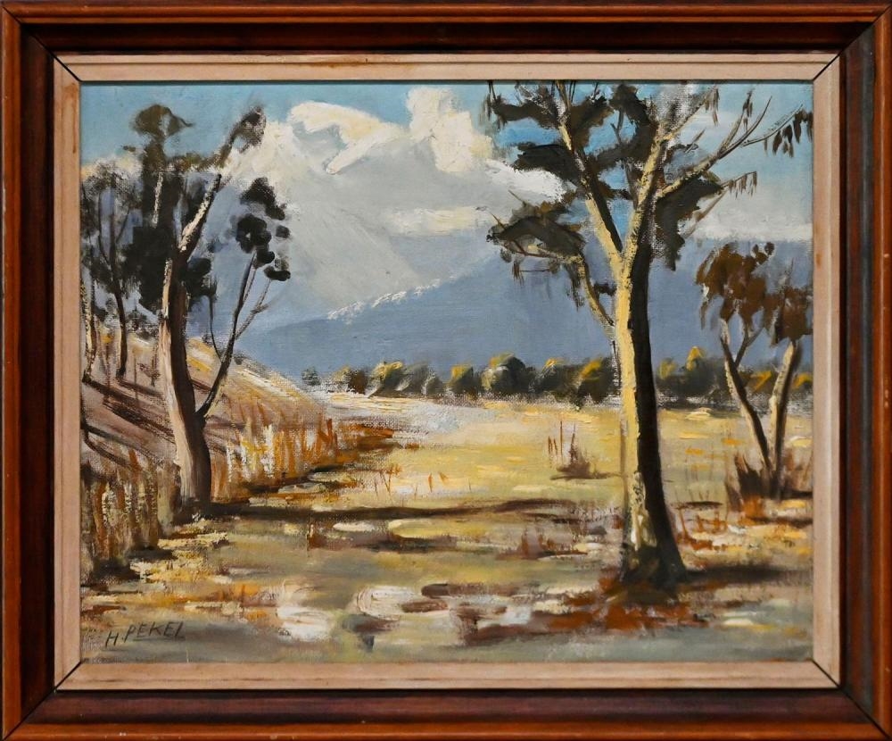 Herman Pekel | LANDSCAPE | MutualArt