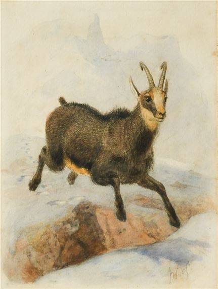 Josef Wolf | Study of a chamois on the run | MutualArt