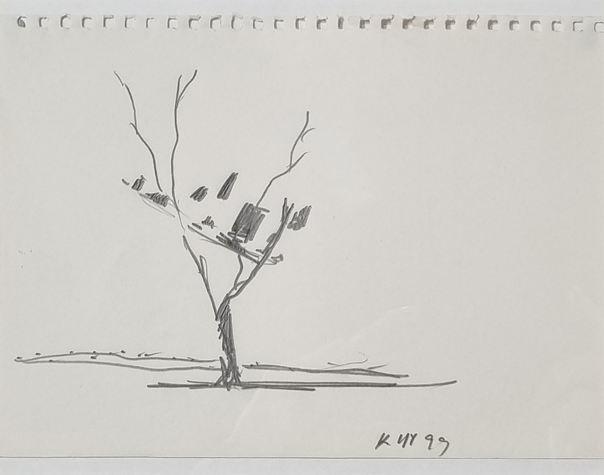 John Kelly | Cow up a Tree (1997) | MutualArt