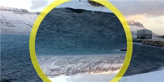 Andrej Bako | Artist Overview | MutualArt