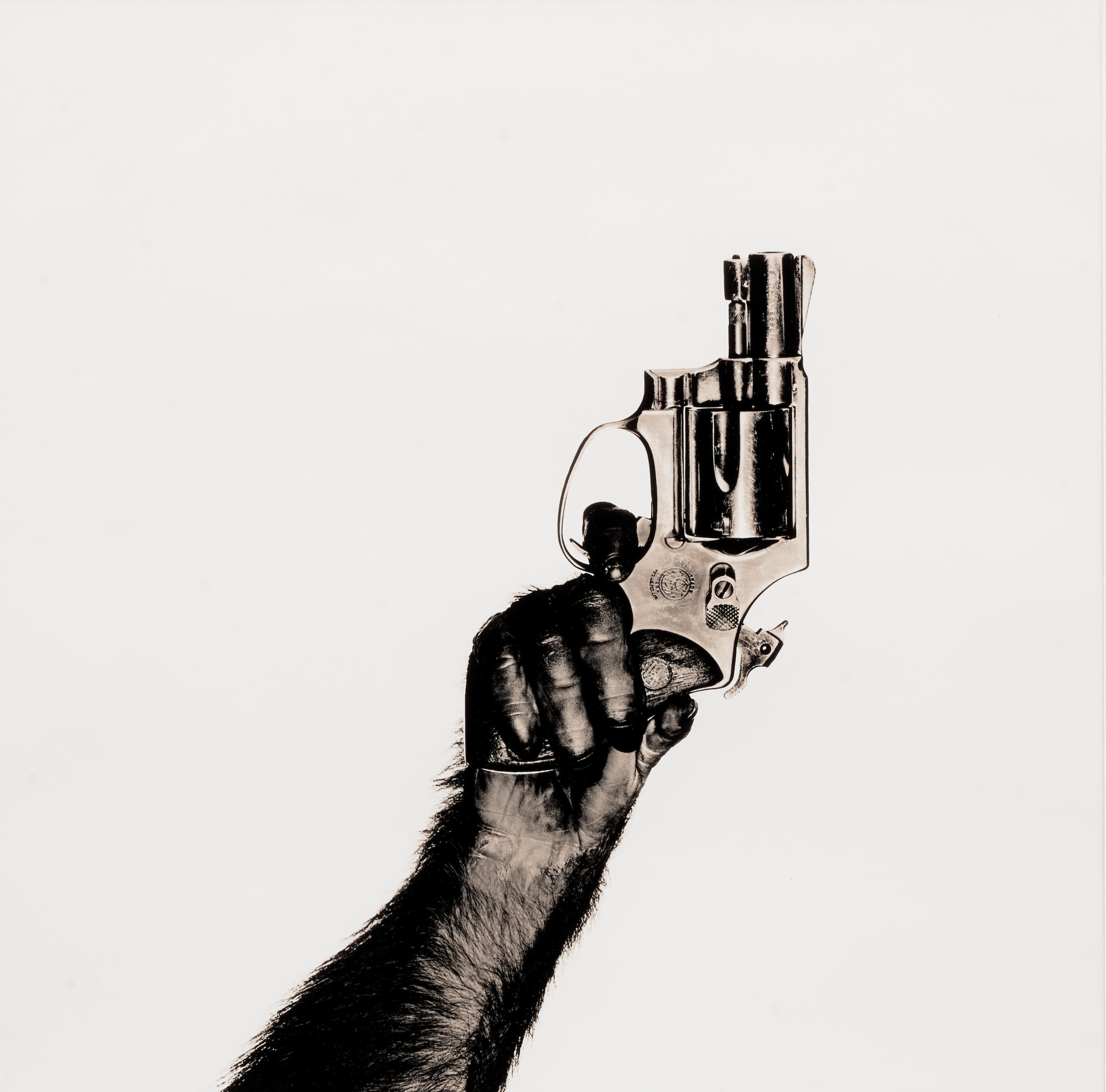 Albert Watson | 'Monkey with Gun' (New York City) (1992) | MutualArt
