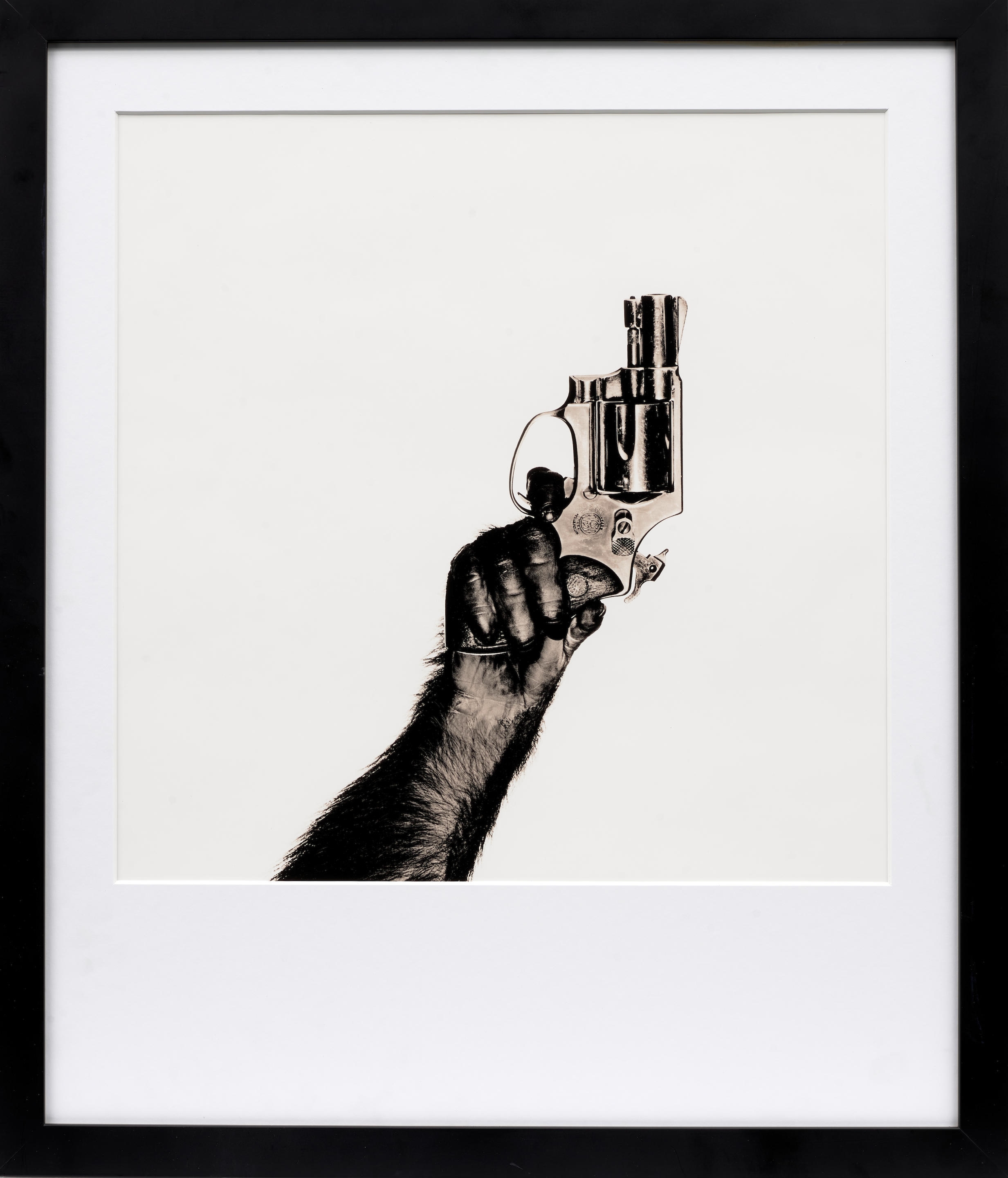 Albert Watson | 'Monkey with Gun' (New York City) (1992) | MutualArt