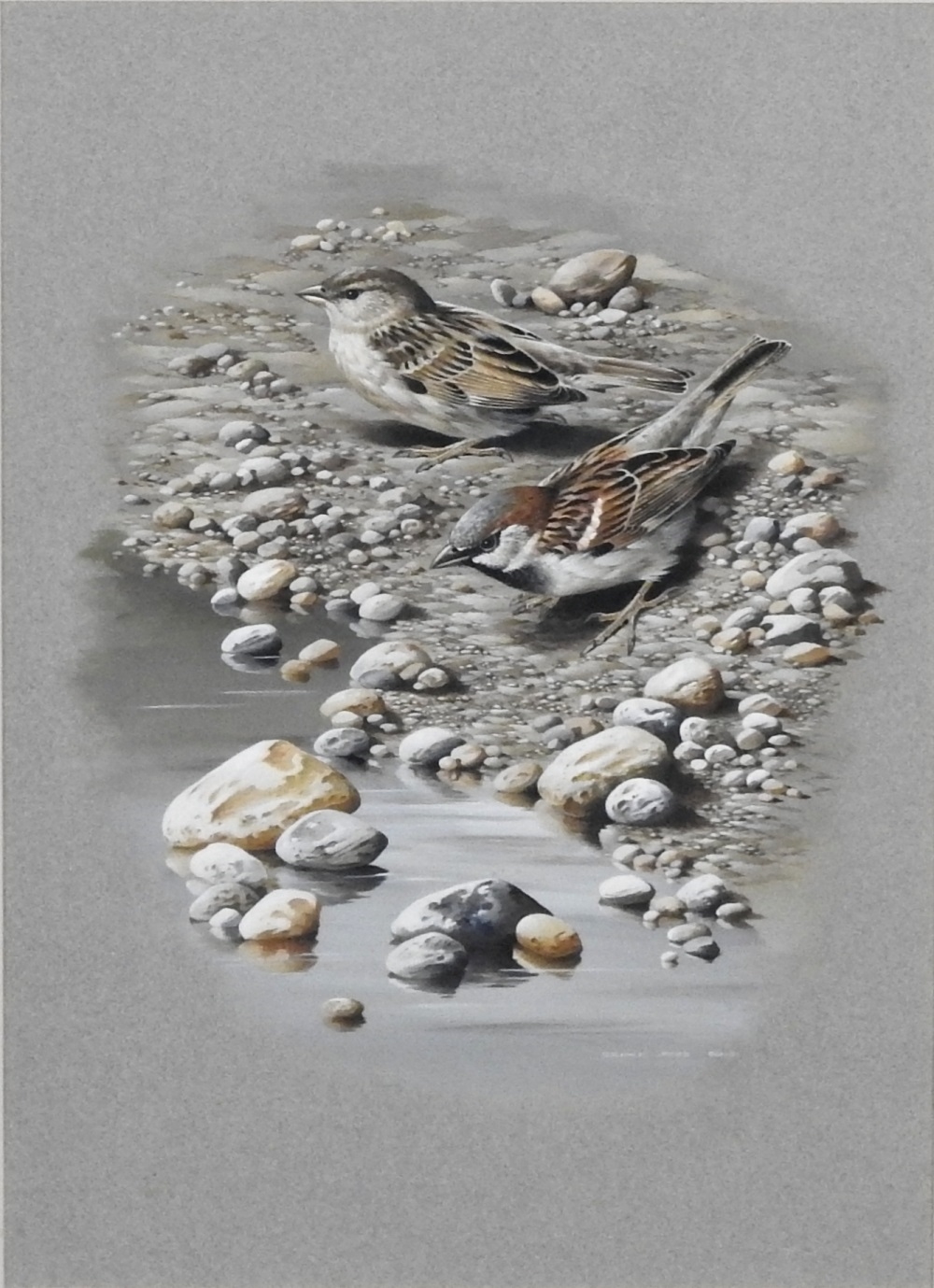 Terance James Bond | Sparrows | MutualArt