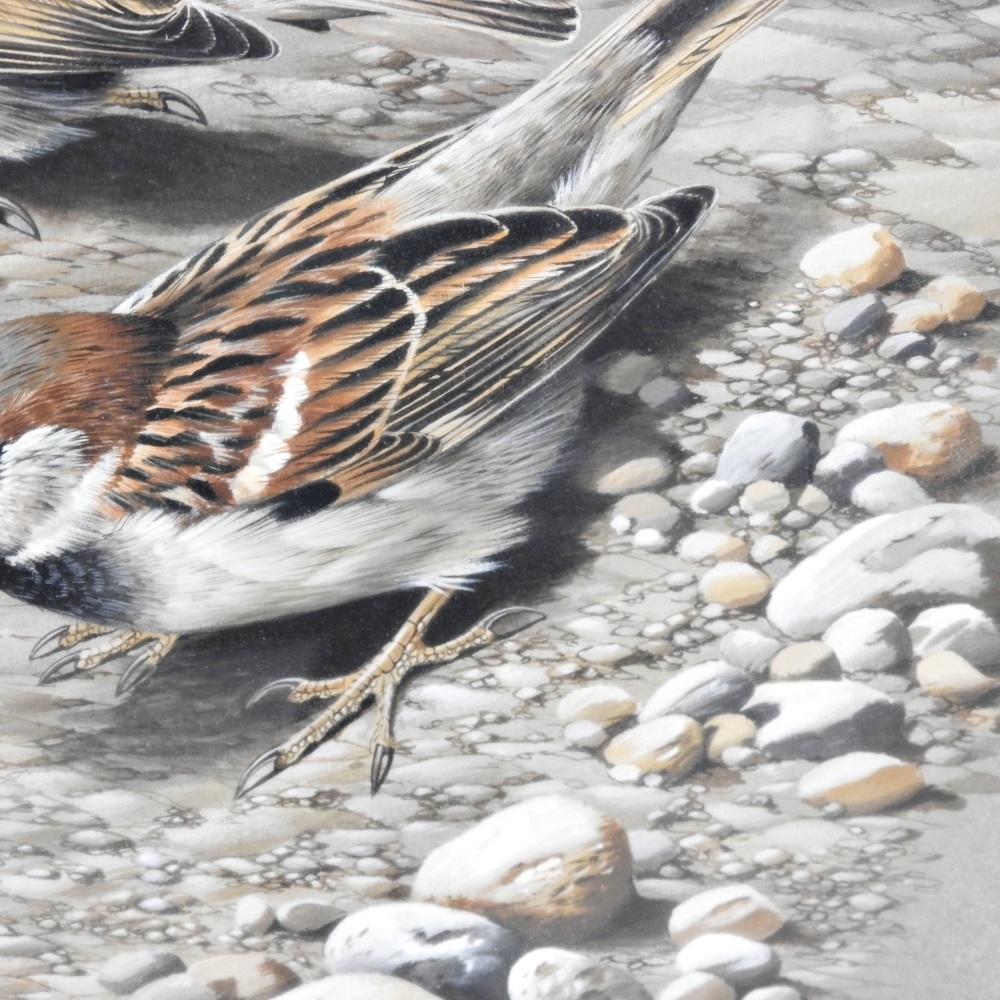 Terance James Bond | Sparrows | MutualArt