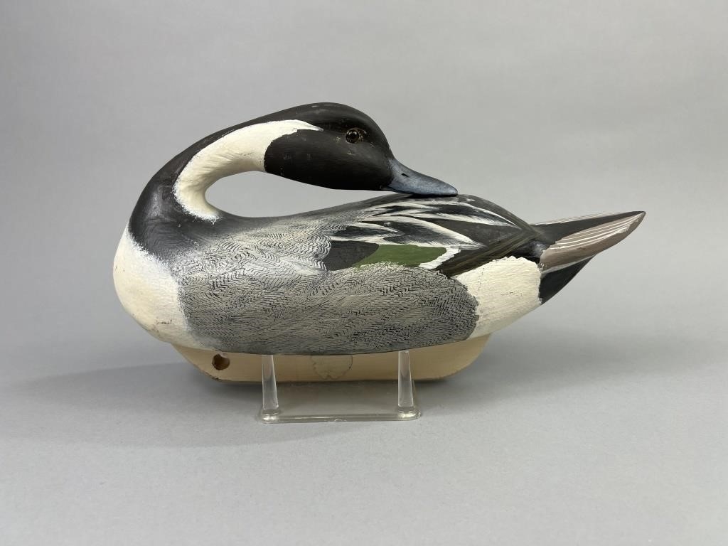 Everett Staffeldt | Pintail Drake Duck | MutualArt