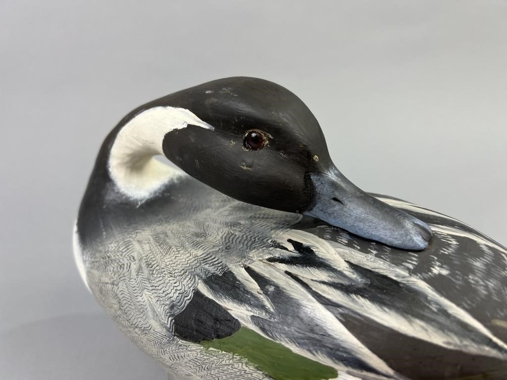 Everett Staffeldt | Pintail Drake Duck | MutualArt