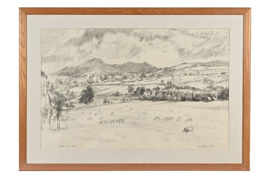 Billy Wilkinson | THE BACK OF SKIDDAW | MutualArt