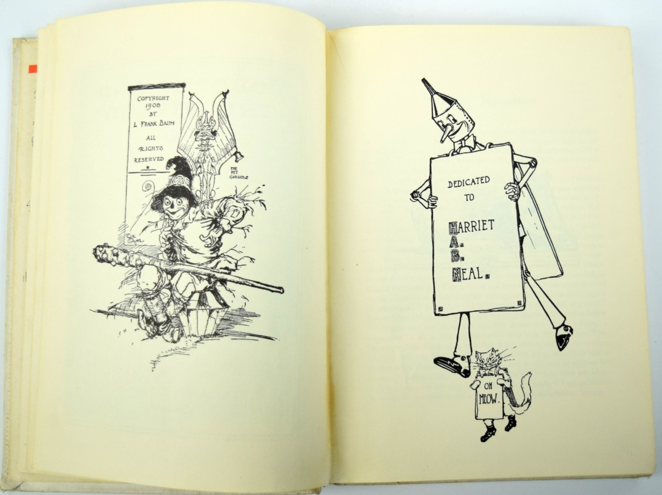 John R. Neill | Antique Book 1908 Dorothy and the Wizard in Oz Book ...