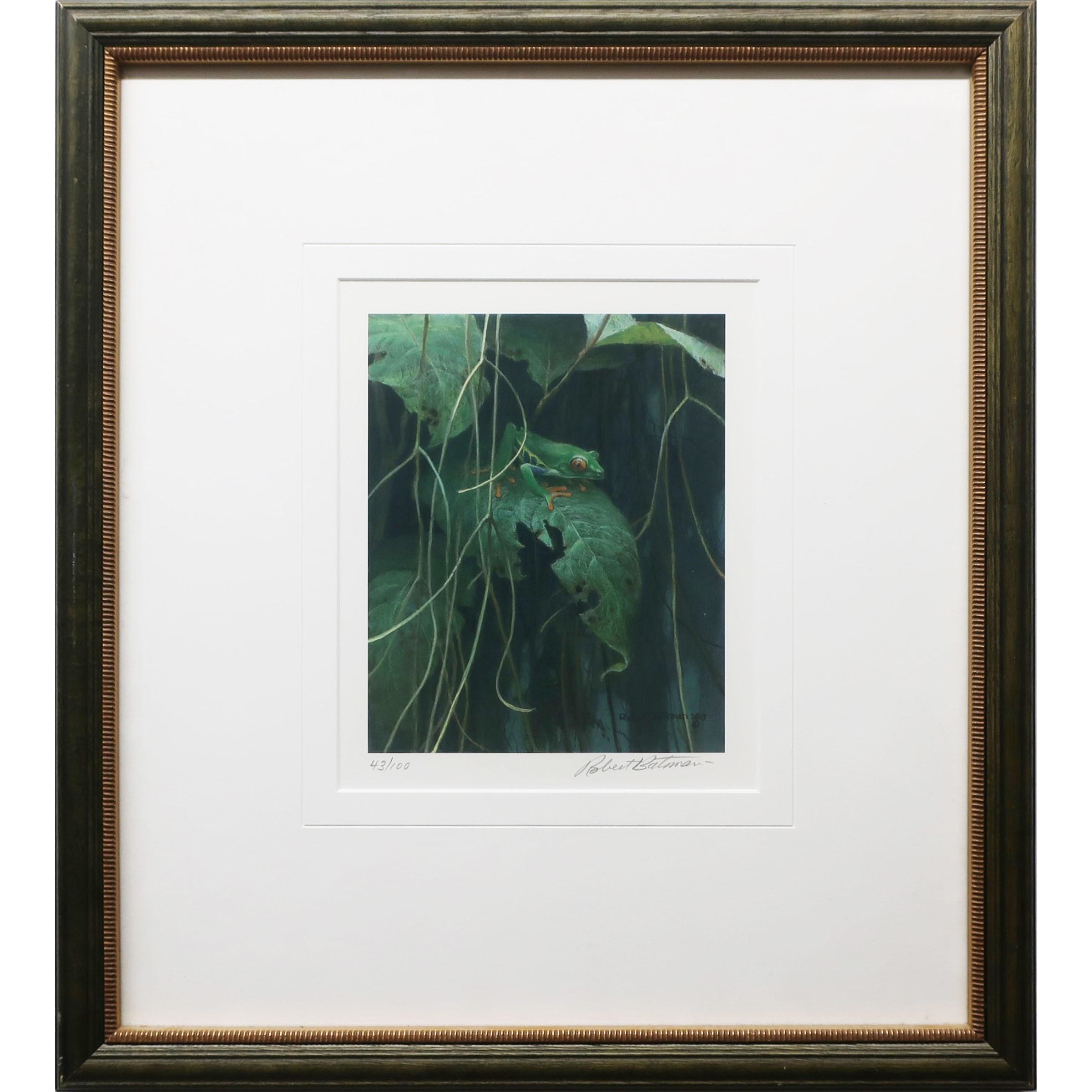 Robert McLellan Bateman | RED-EYED TREE FROG | MutualArt