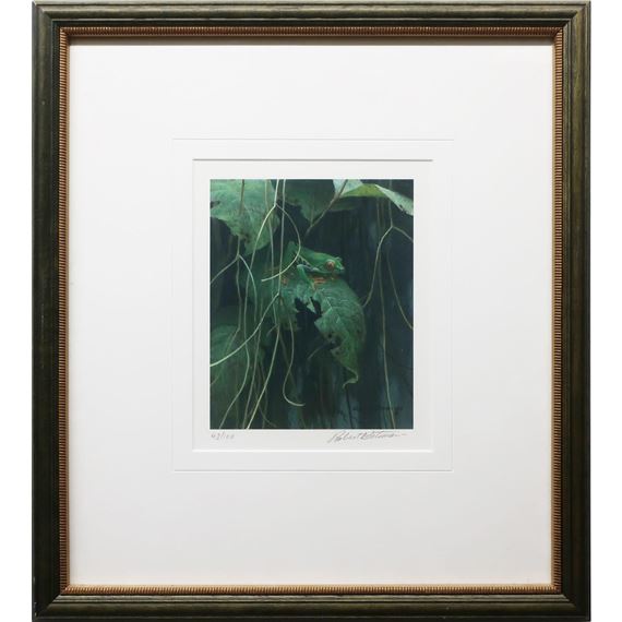 Robert McLellan Bateman | RED-EYED TREE FROG | MutualArt
