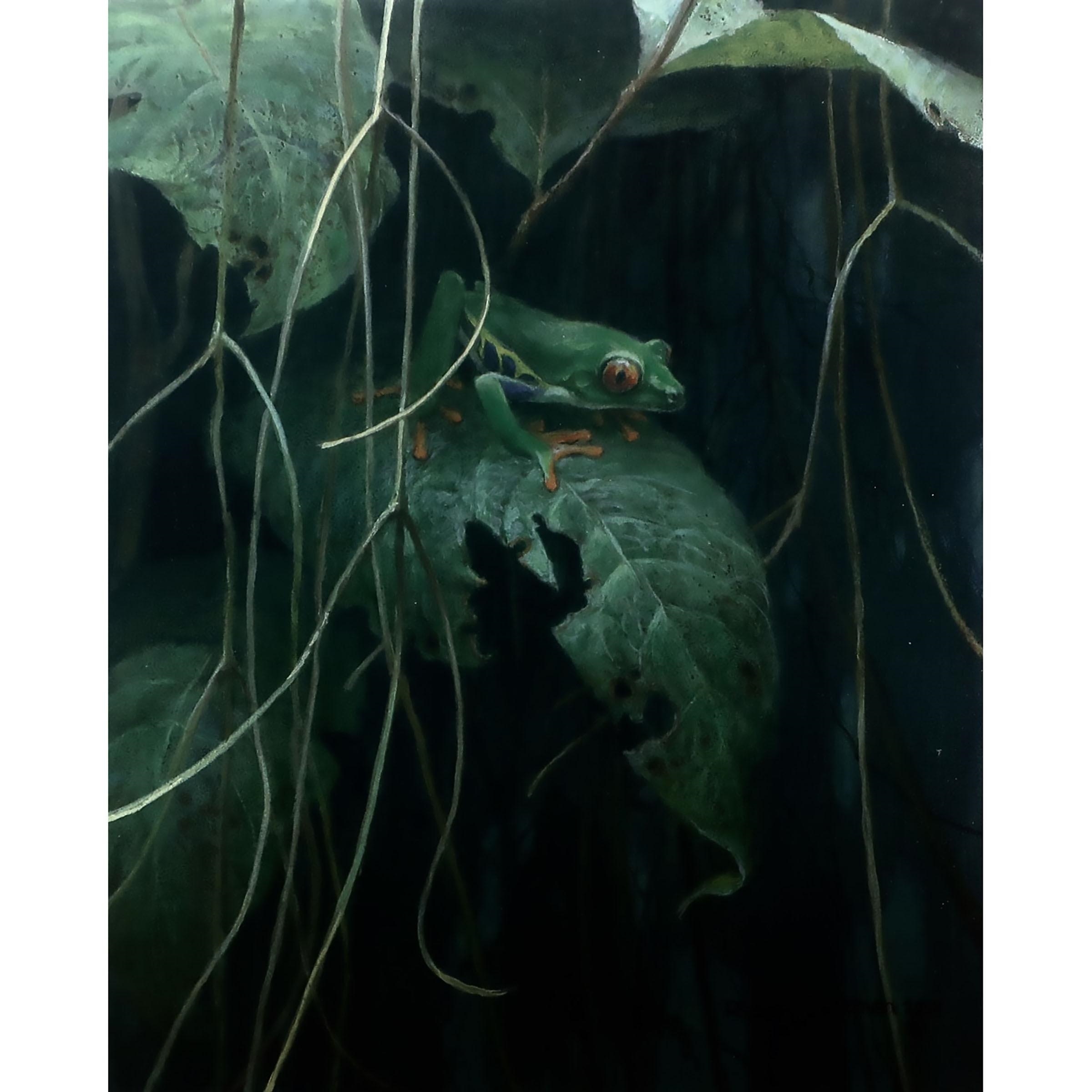 Robert McLellan Bateman | RED-EYED TREE FROG | MutualArt