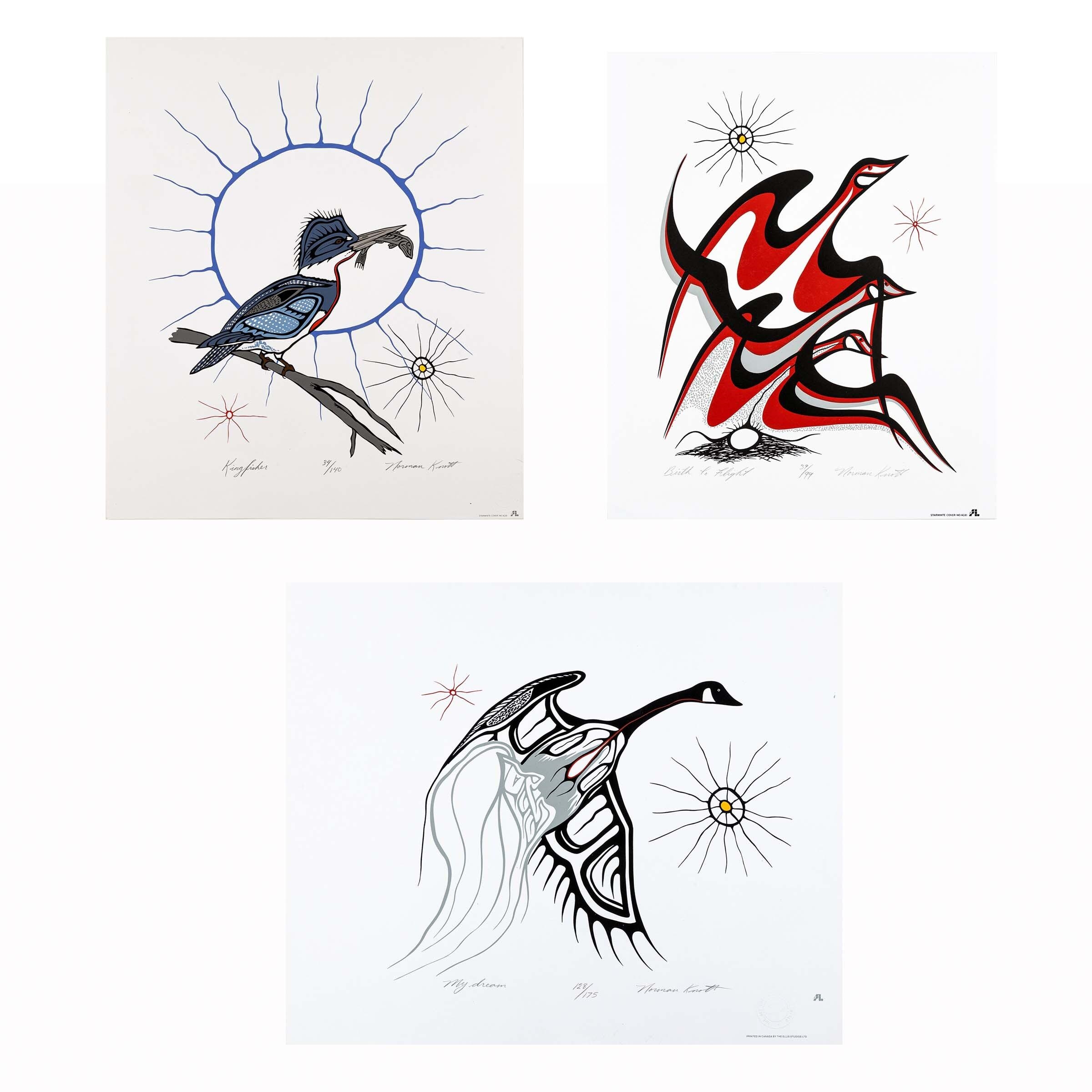 Norman Knott | KINGFISHER; BIRTH OF FLIGHT; MY DREAM | MutualArt