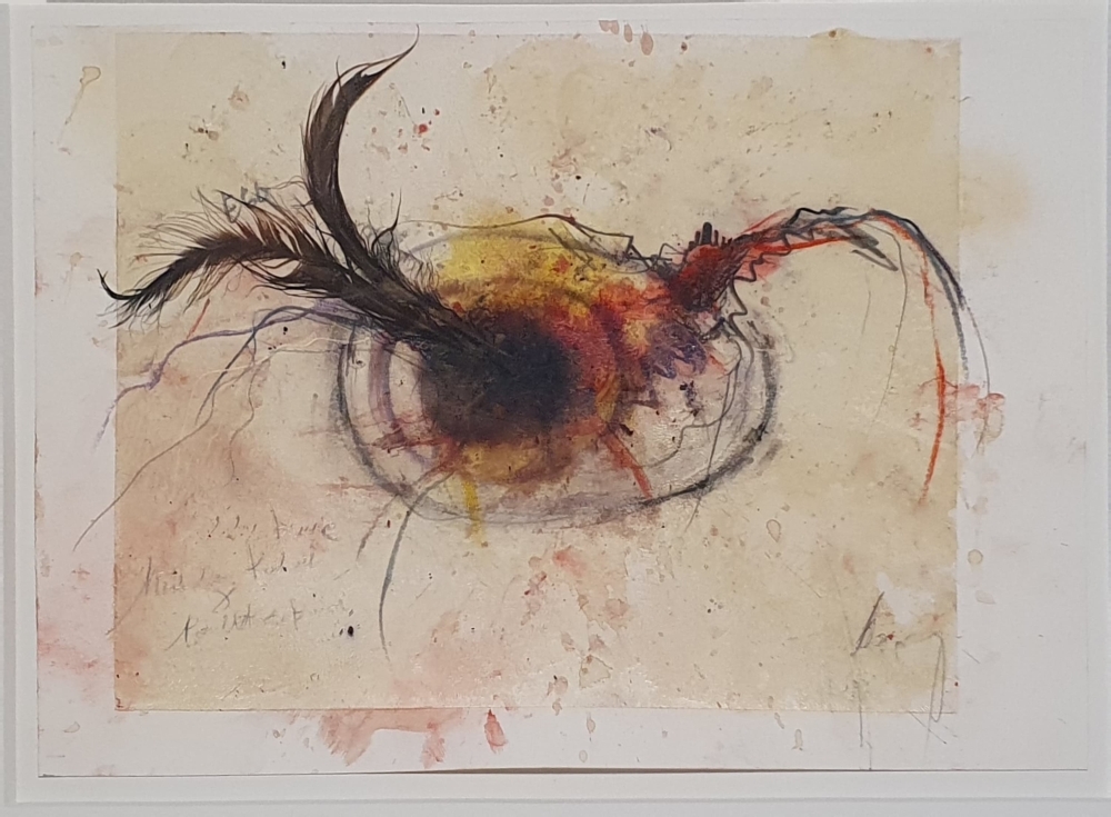 Koen Vanmechelen | Cosmopolitan Chicken Project | MutualArt