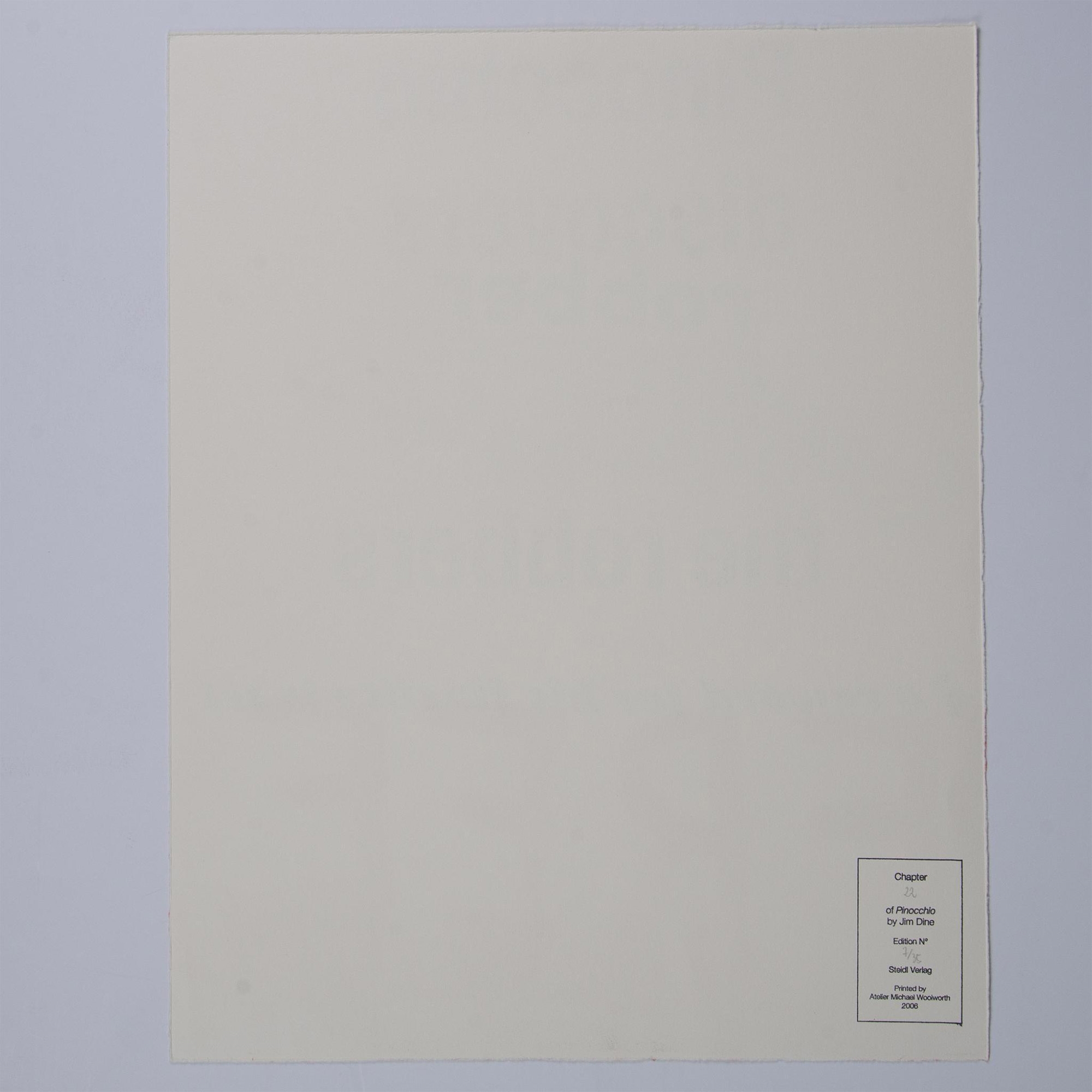 Jim Dine | Jim Dine, Original Lithograph on Paper, Pinocchio Suite ...