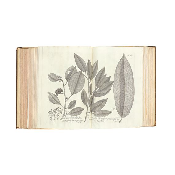 Everhard Kickius | 1 Artworks | MutualArt