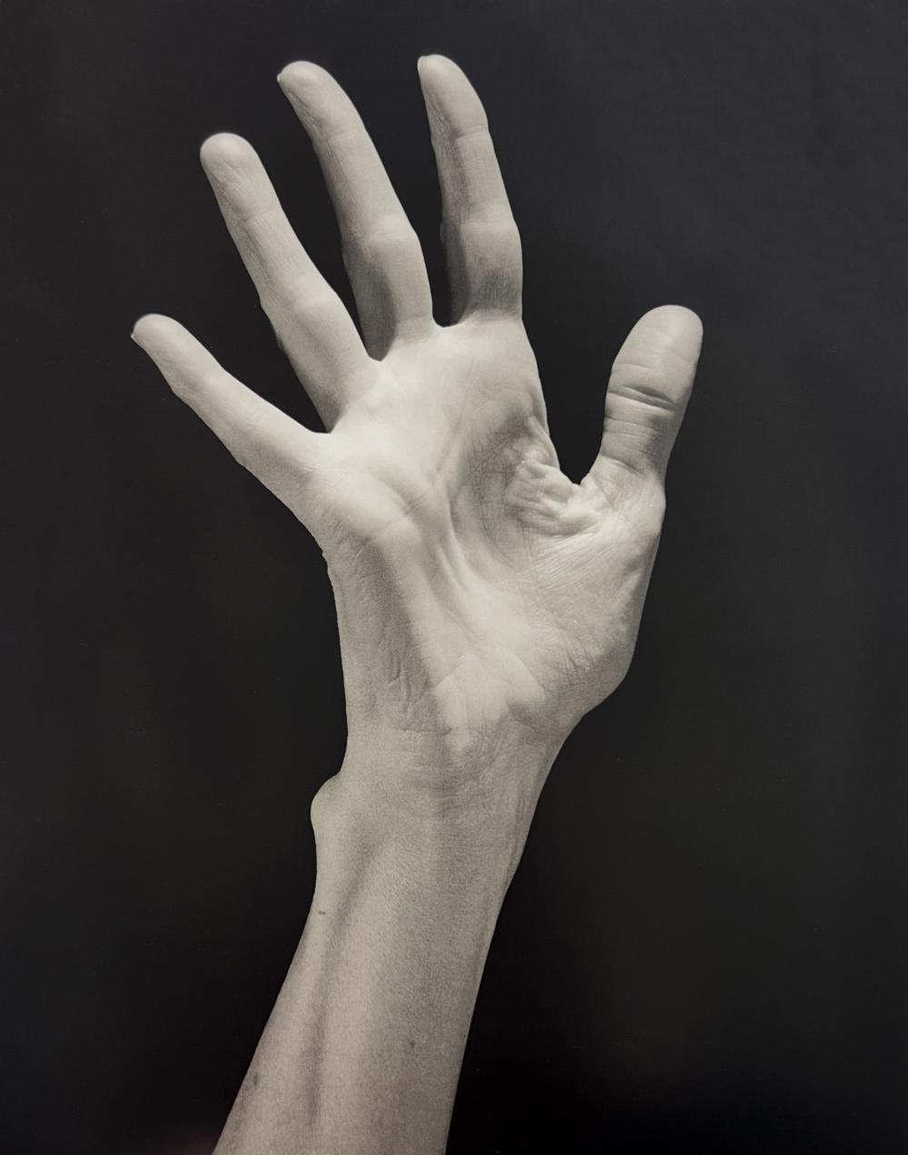 Robert Mapplethorpe | ROBERT MAPPLETHORPE (1985) | MutualArt