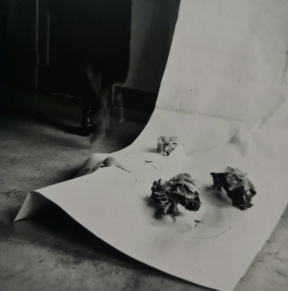 Francesca Woodman | FRANCESCA WOODMAN (1976) | MutualArt