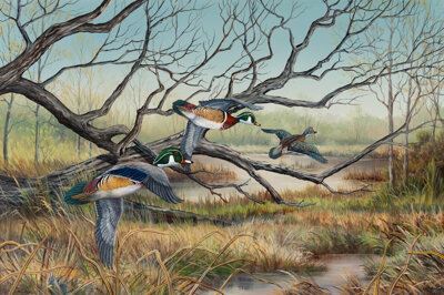J.W. Thrasher | Wood Ducks in Flight | MutualArt