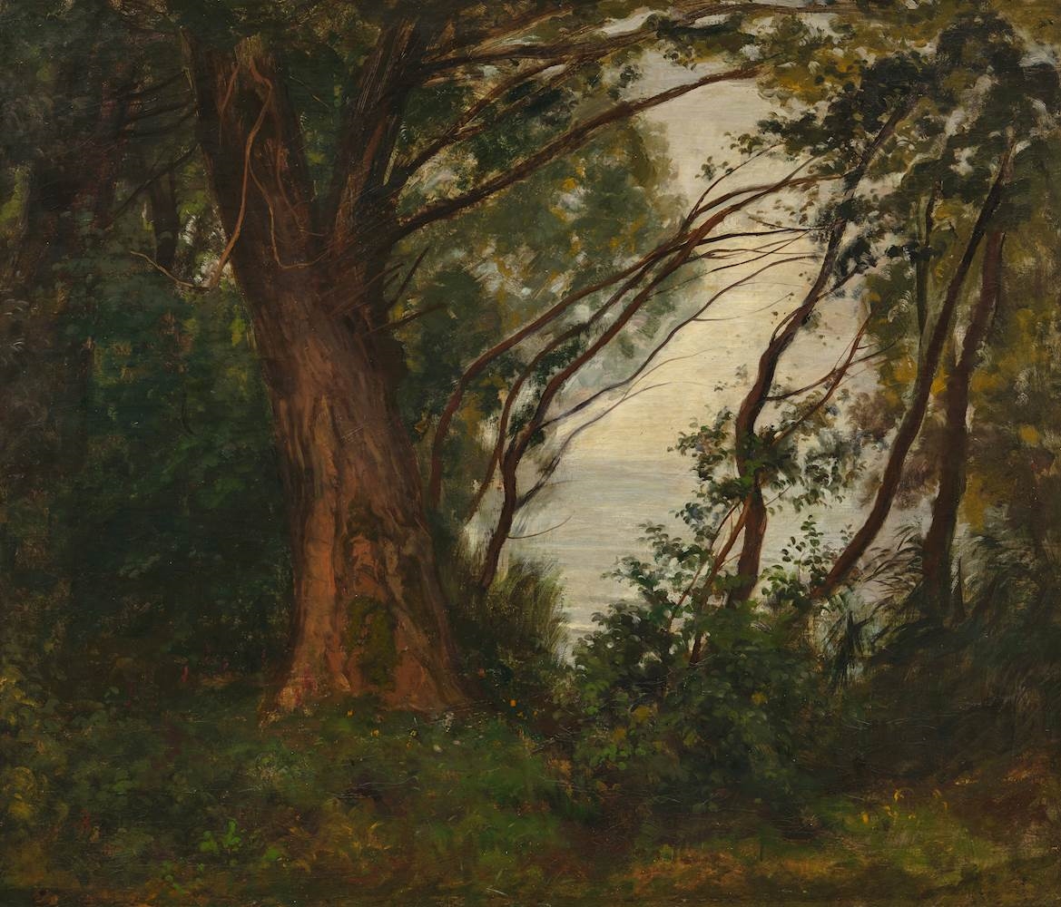 Rudolf Koller | Zürichhorn | MutualArt