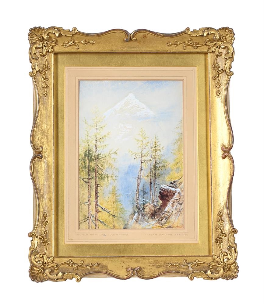 Elijah Walton | MONTE ANTELAO, SOUTH TYROL | MutualArt