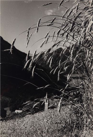 Riccardo Moncalvo | Champoluc (1940s) | MutualArt