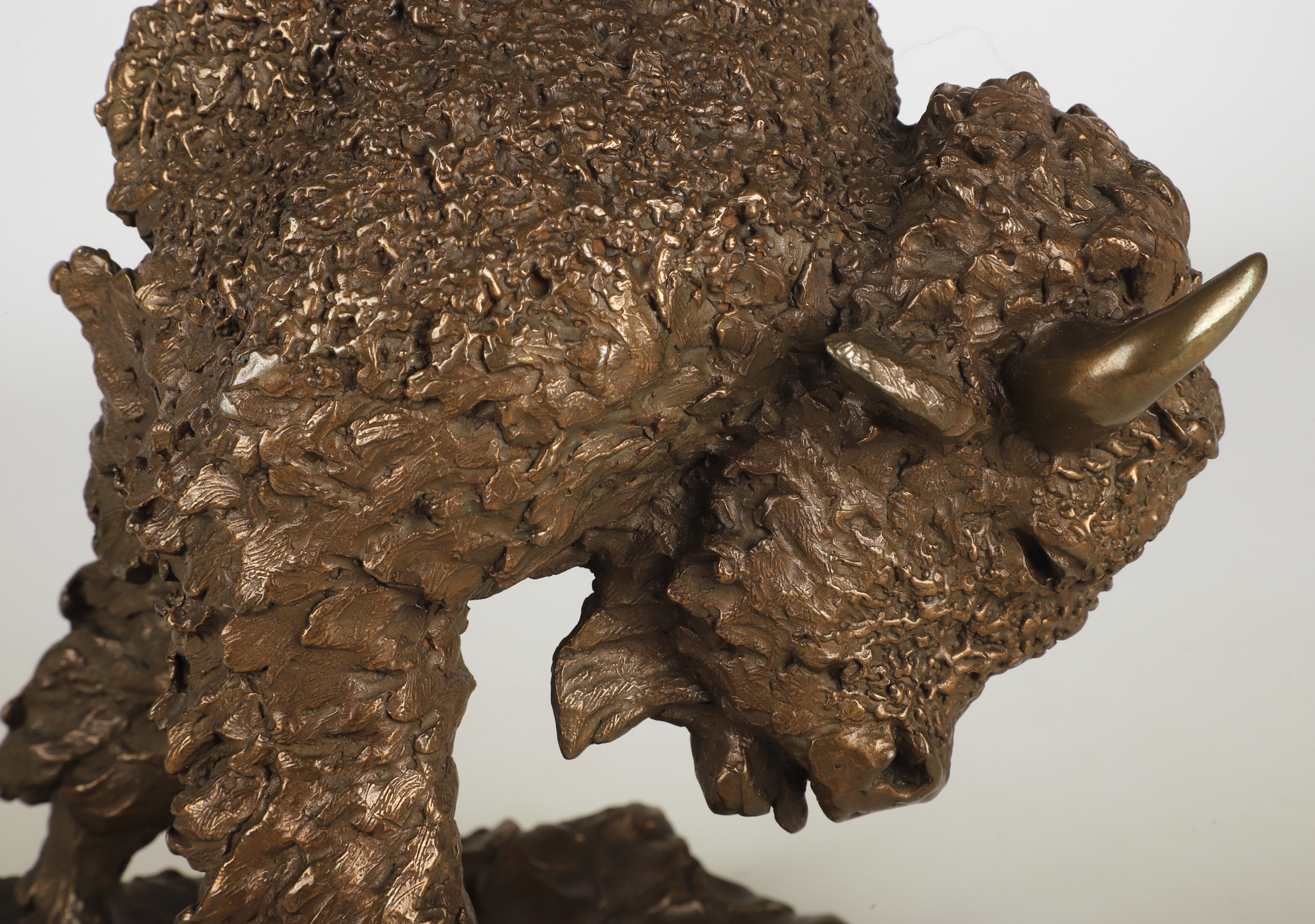 Mark Hopkins | His First Buffalo | MutualArt