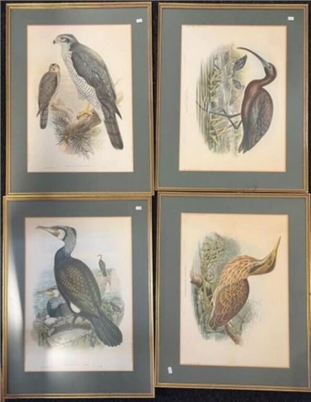 John Gould | Birds | MutualArt