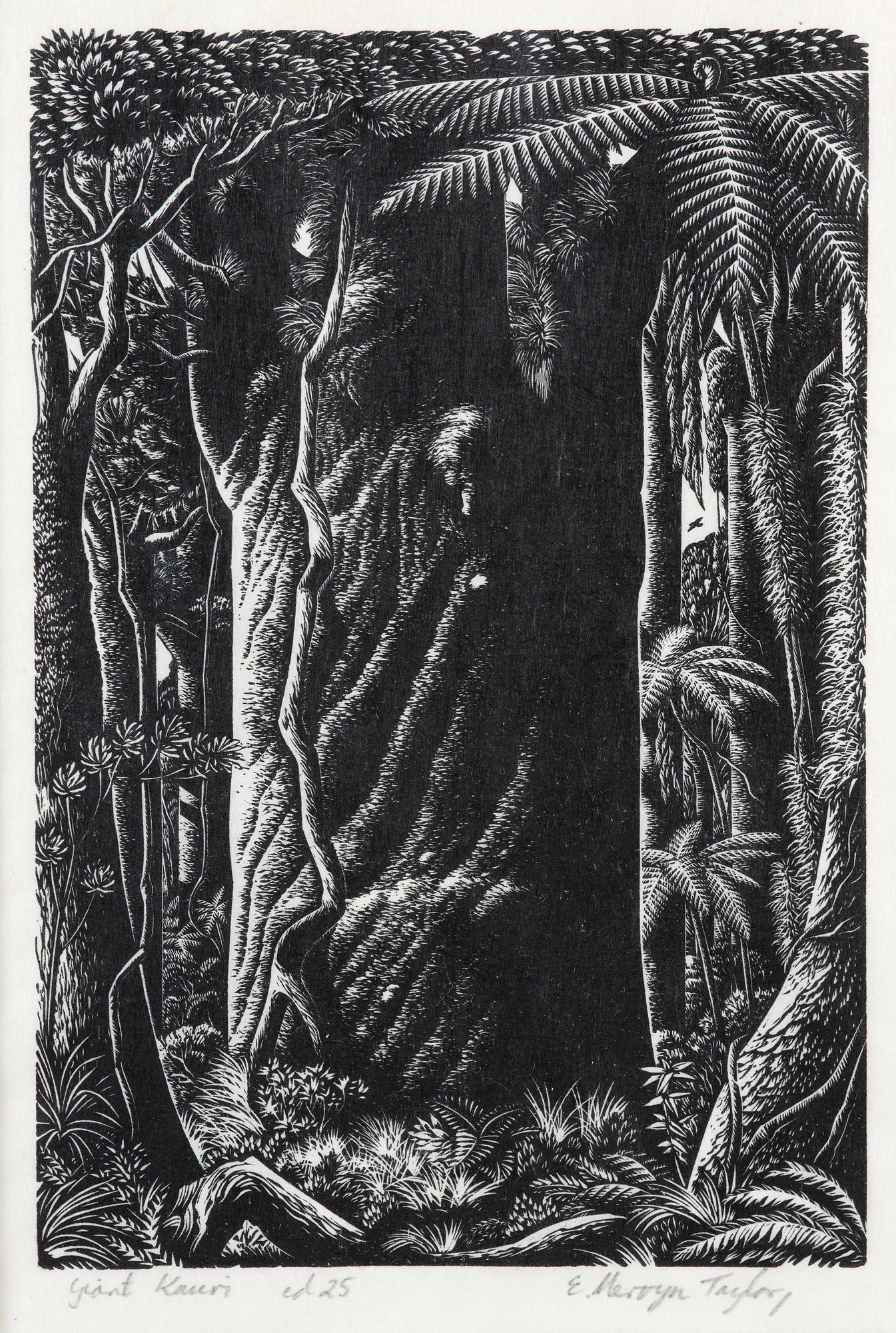 E. Mervyn Taylor | Giant Kauri | MutualArt