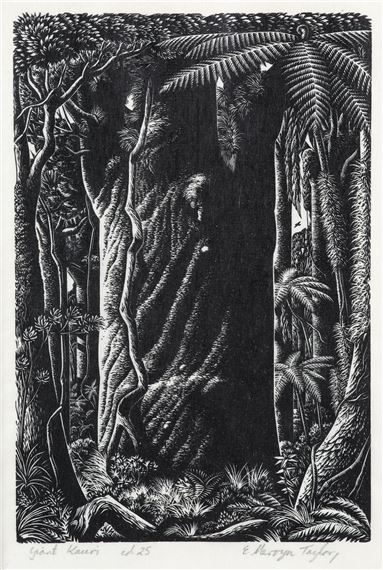E. Mervyn Taylor | Giant Kauri | MutualArt