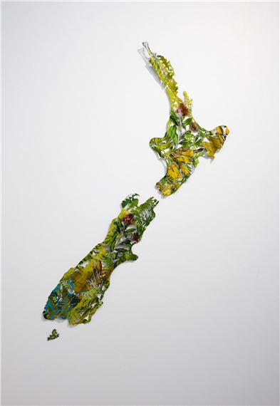 Jeff Thomson | Map of NZ (2004) | MutualArt