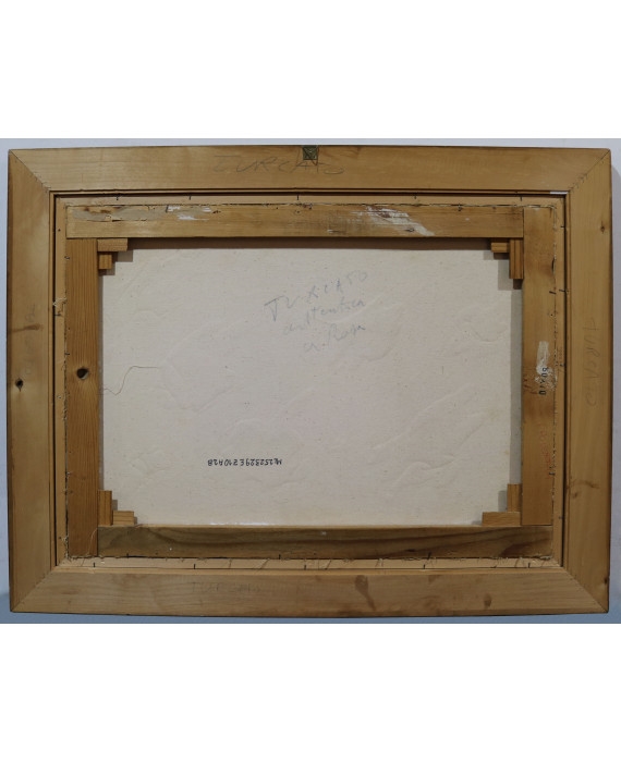 Giulio Turcato | Arcipelago” del 1973 (1973) | MutualArt
