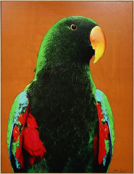 JOSE HARO | Smarty Parrot (2024) | MutualArt