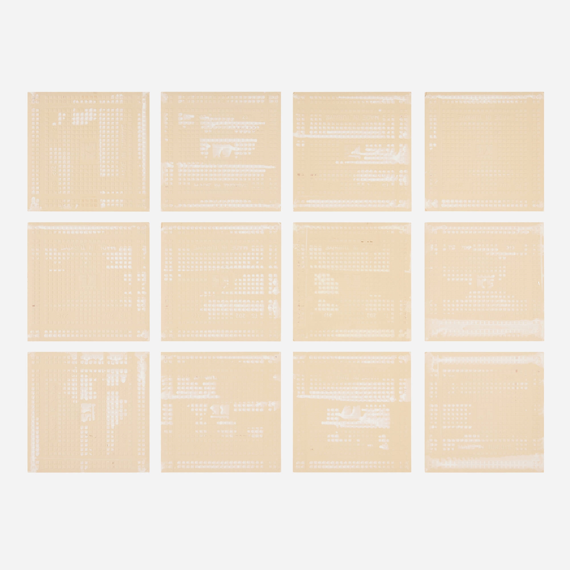 Mark Dion | Birds of Antwerp (1993) | MutualArt