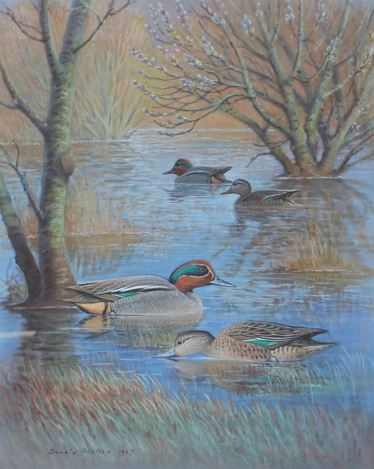 Donald Watson | Ducks on loch (1967) | MutualArt