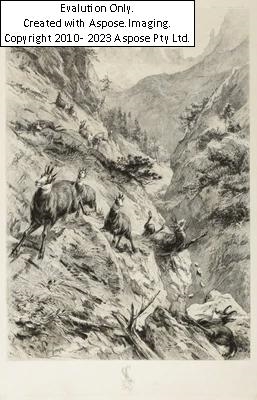 Franz Xaver von Pausinger | Franz Xaver von Pausinger | MutualArt