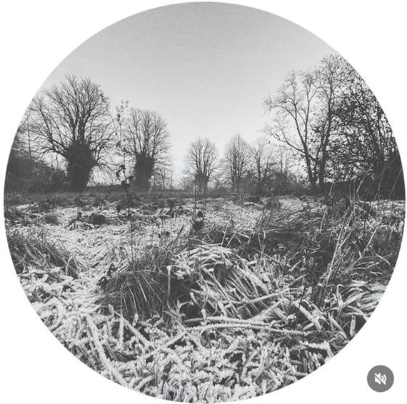 Conor Ferguson | Grounded | MutualArt