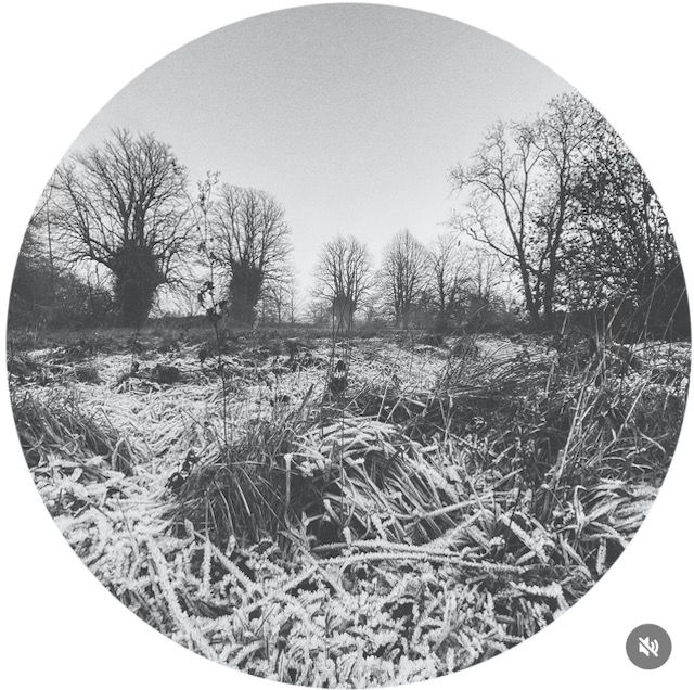 Conor Ferguson | Grounded | MutualArt