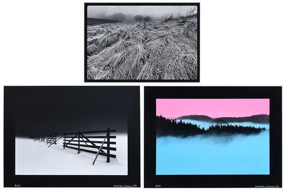 Morten Haug | 2 Artworks at Auction | MutualArt