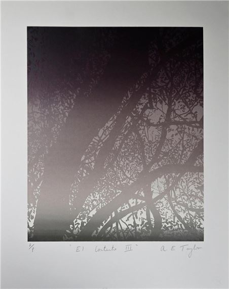 Andrew Taylor | ANDREW TAYLOR | MutualArt